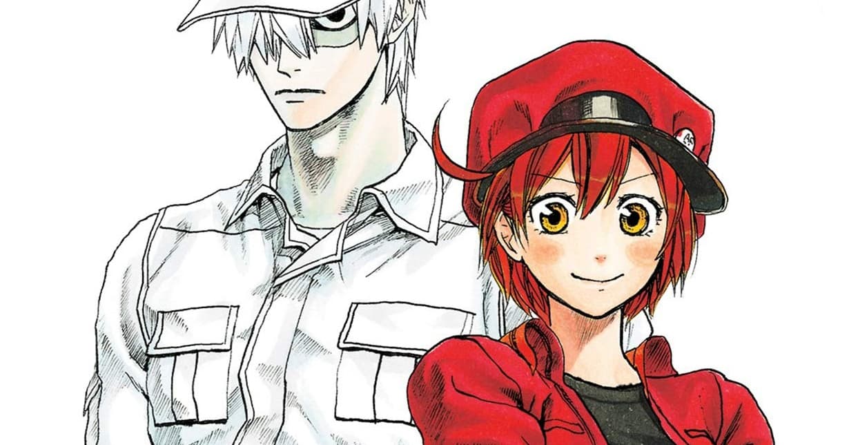 „Cells at Work! – Lady“ beendet ersten Storypart | Manga Passion